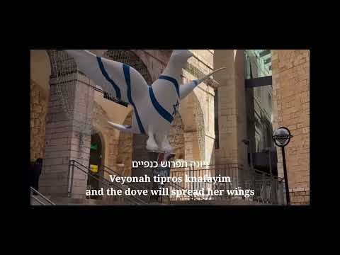 Am Yisrael Chai ( English ) Translation and Transliteration - EYAL GOLAN