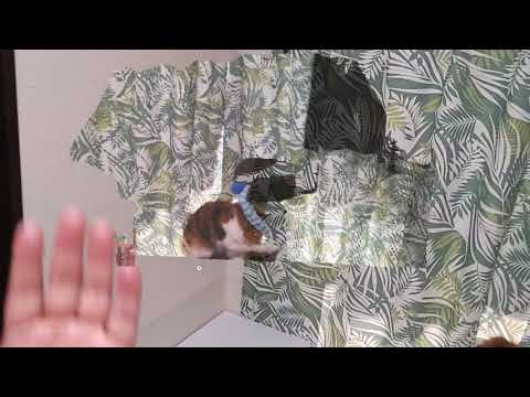 GitHub - TakashiYoshinaga/HoloLens2-Point-Cloud-App