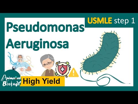 Pseudomonas aeruginosa | Pathogenesis | identification and treatment