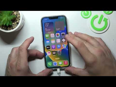 How to Connect Wired Headphones with iPhone 14 - Plug Headset