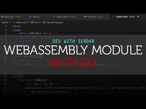 How to create a simple WebAssembly module with Go