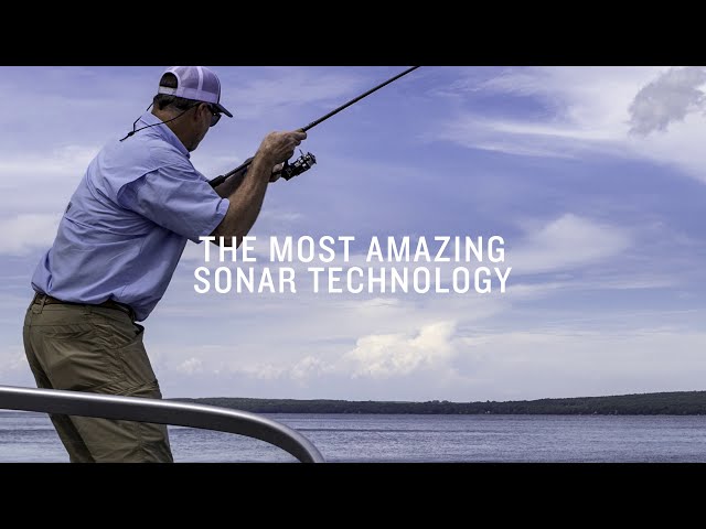 GARMIN Panoptics Livescope Perspective Mode Mount