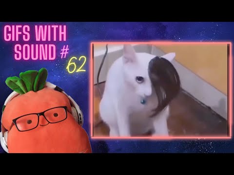 🔥 Gifs with Sound & COUB mix!🔥 #62