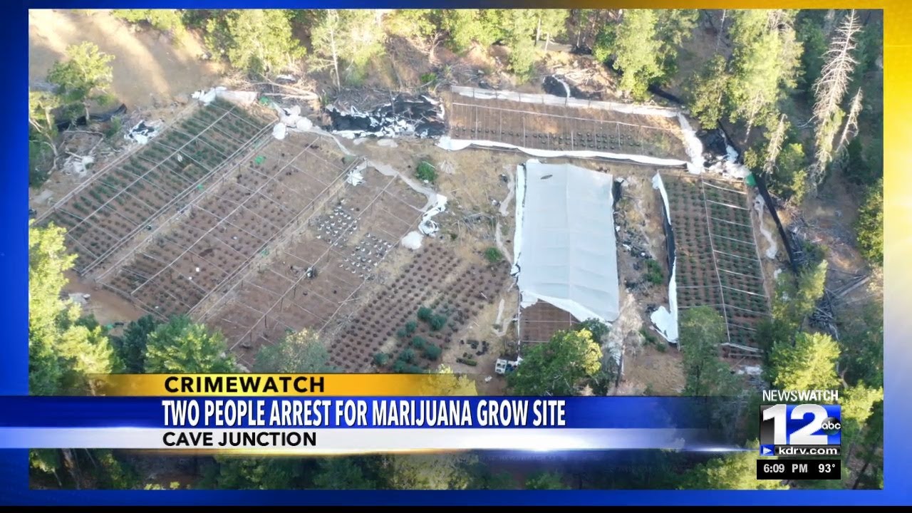 Two people arrested after police uncover illegal marijuana grow site in Cave Junction