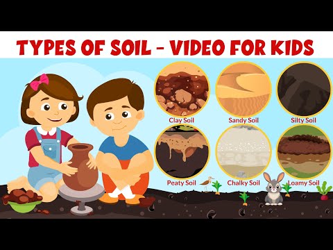 Types of Soil - Soil Types - Video for Kids - Learning Junction