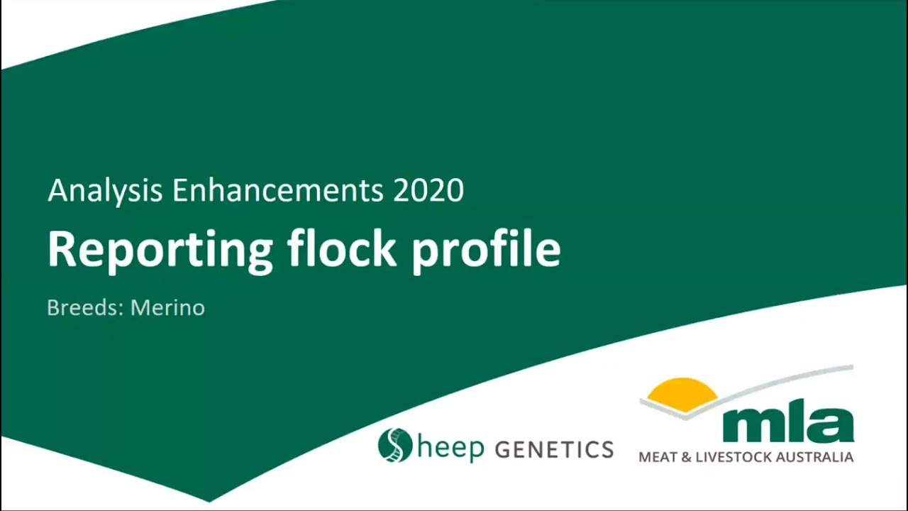 Reporting Flock Profile