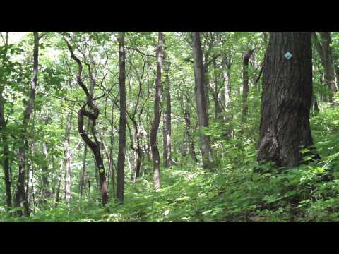 Musconetcong Gorge - njHiking.com