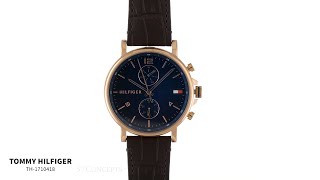 Tommy Hilfiger 1710418 - Zegarek Daniel • Zegarownia.pl