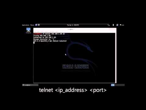 Kali Linux - Banner Grabbing