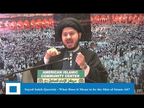 What does it mean to be the Shia of Imam Ali (as)? - Sayed Saleh Qazwini
