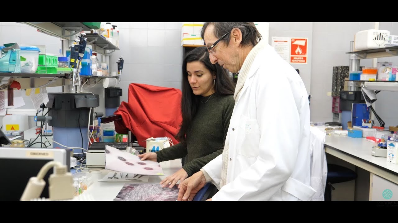 Neurociencia | Solo los bebés generan neuronas para la memoria y el aprendizaje