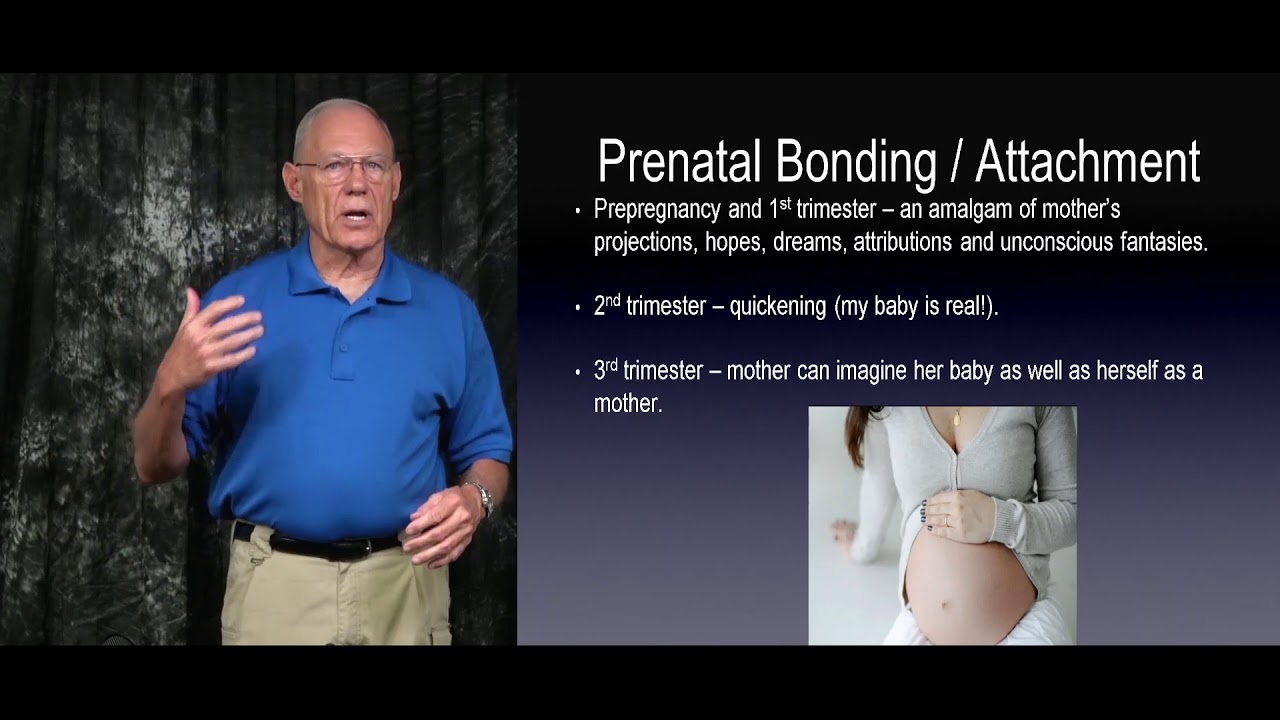 [Course Preview] Neuroscience of Attachment l Arizona Trauma Institute