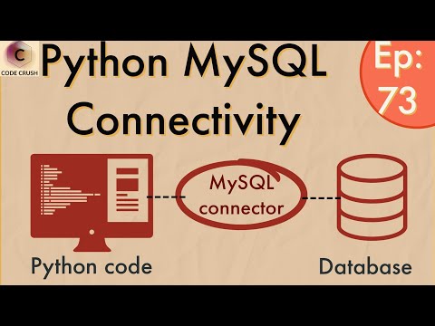 Python Database Connectivity MySQL | Python Database | Python MySQL | Python MySQL Connector Error