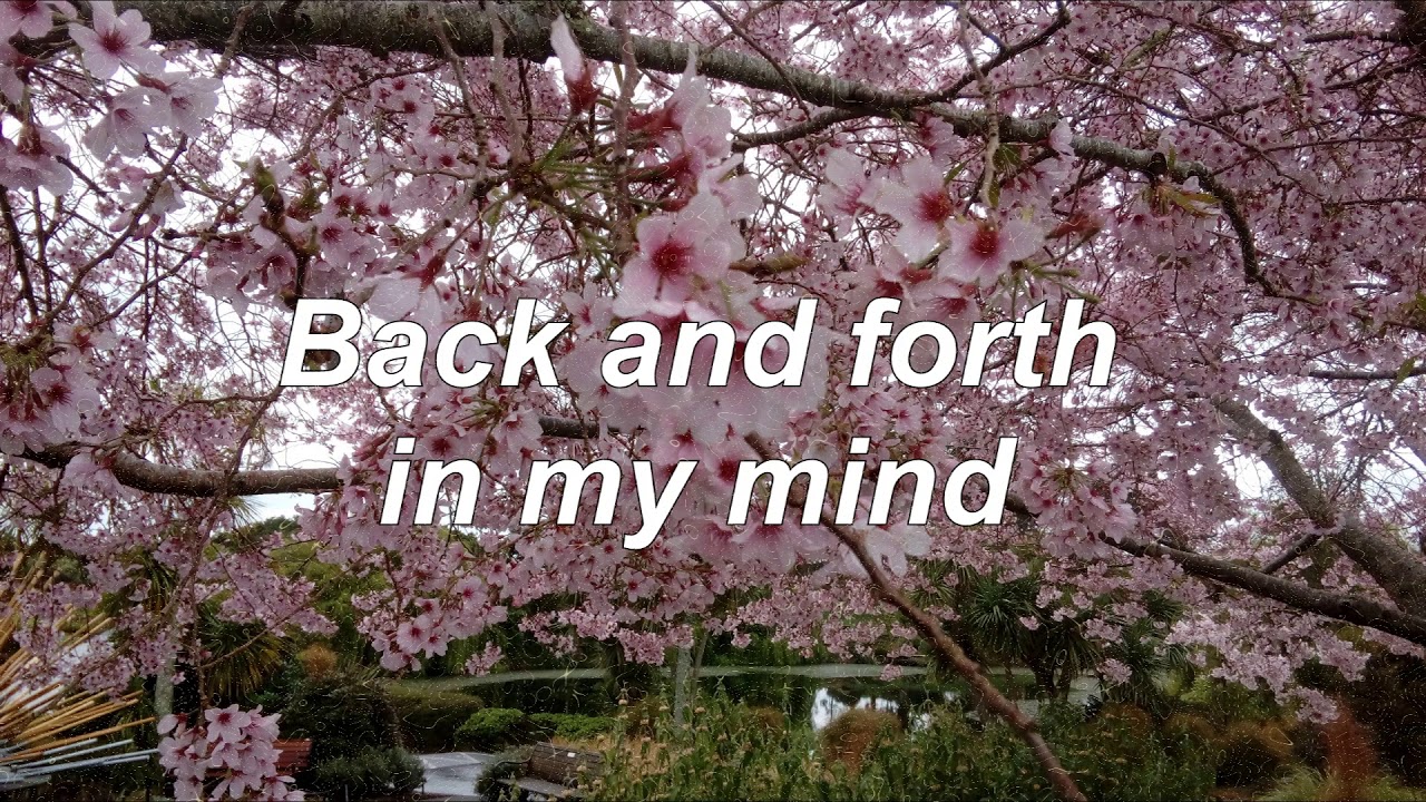It's Only Right - Wallows - Lyrics