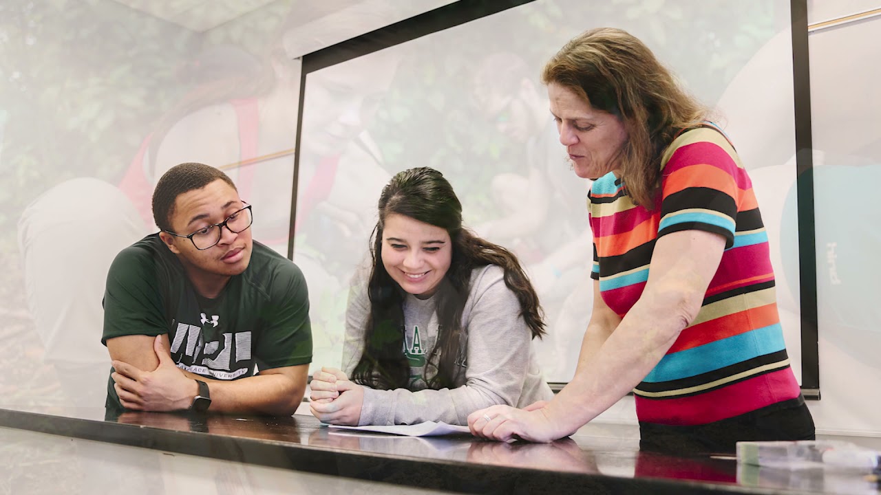 Rough Draft Template (QEP Film)