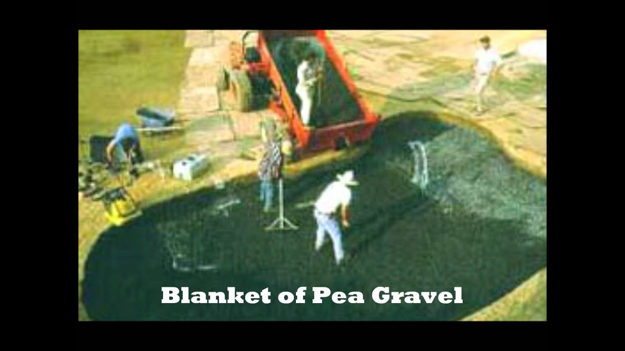 Tyler Fricke GEM 350 Project #3