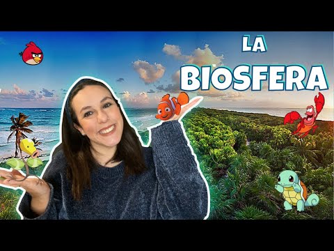 La BIOSFERA - ¿De qué estamos compuestos?. Las funciones vitales. 1º ESO