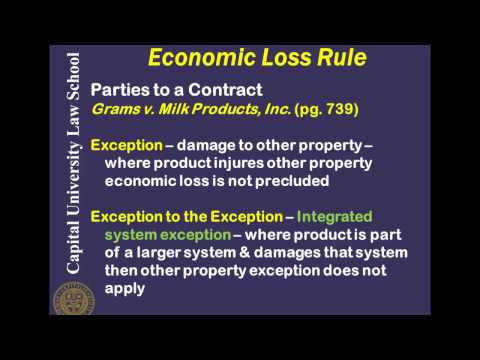 Remedies Video Lecture 6 - Emotional Distress, etc.