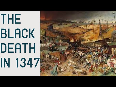 The Black Death in 1347/History in Focus/black death/history