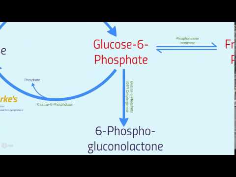 Comprehensive Mapping of Clinical Correlates within Biochemical Pathways