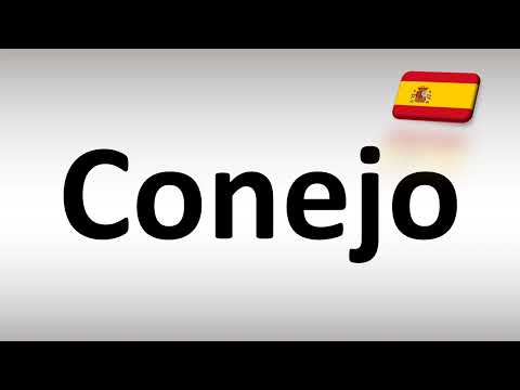 How to Pronounce Conejo (Rabbit) in Spanish