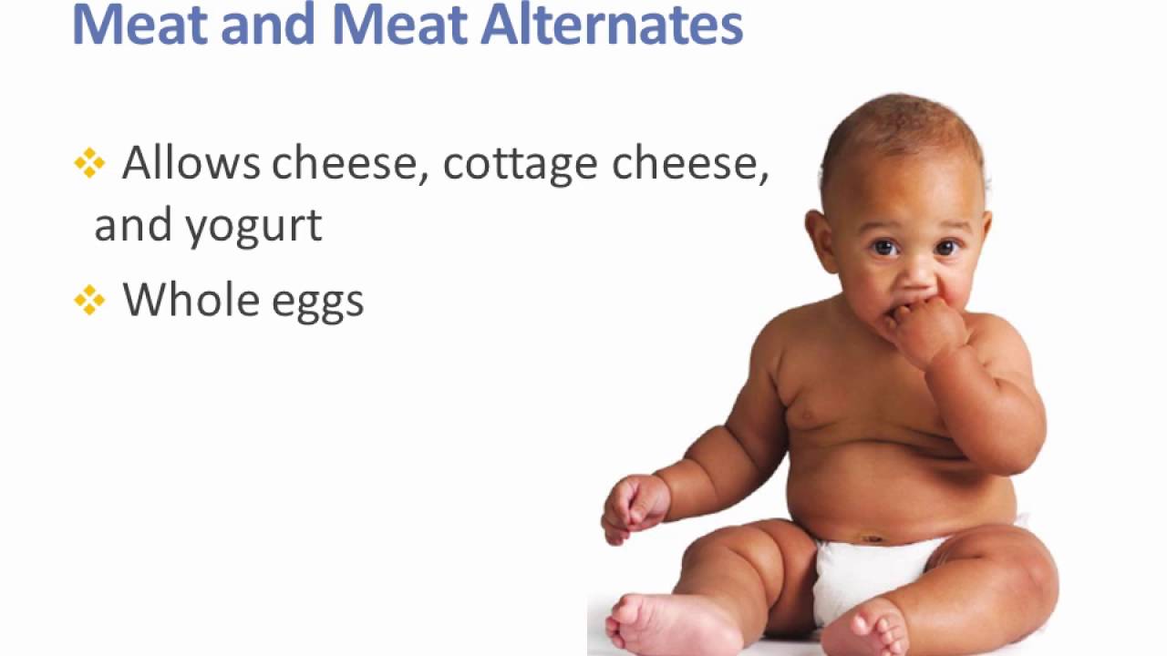 CACFP Meal Patterns Final Rule Captioned
