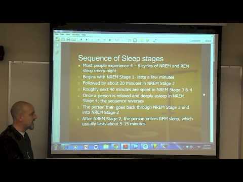 Chapter 7: States of Consciousness