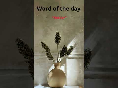 #sonder #wordoftheday #motivation #learnenglish #quotes #gaming #facts #englishknowledge #elevate