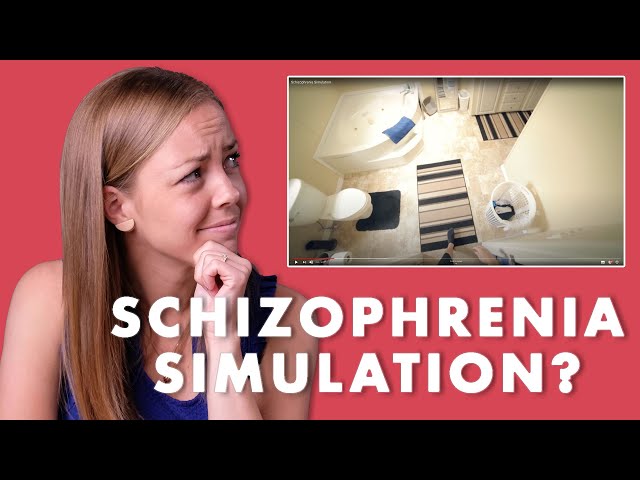 Evaluating the Accuracy of Schizophrenia Simulation Videos on YouTube | Galaxy.ai