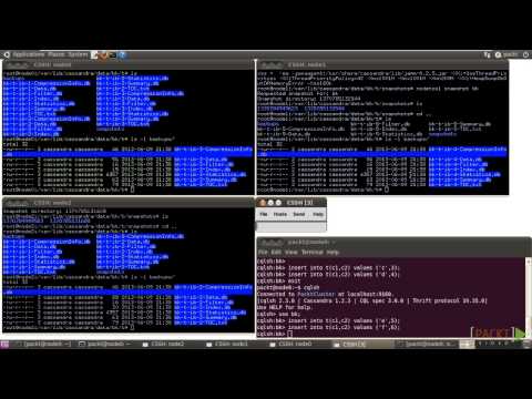 Learn Cassandra Administration Tutorial Incremental Backup | packtpub com - Mind Luster