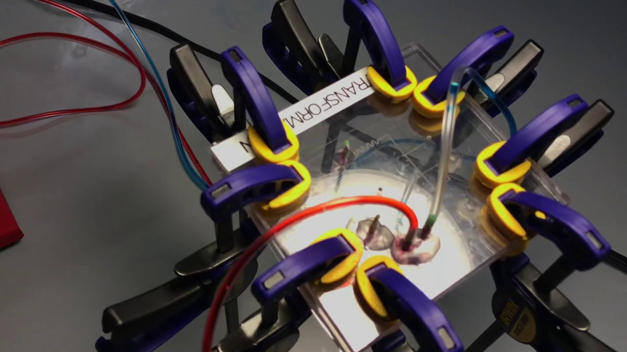 Microfluidic Flow Control