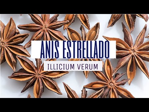 Propiedades medicinales del Anís estrellado o badiana