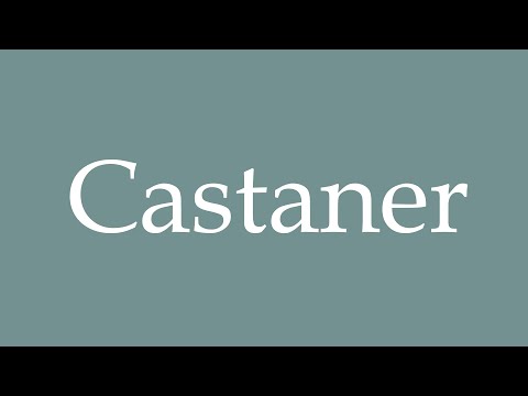 How to Pronounce ''Castaner'' Correctly in French