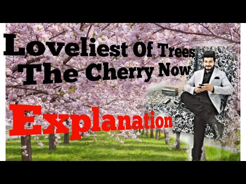 Loveliest Of Trees The Cherry Now In Urdu/Hindi by Naeem English Club