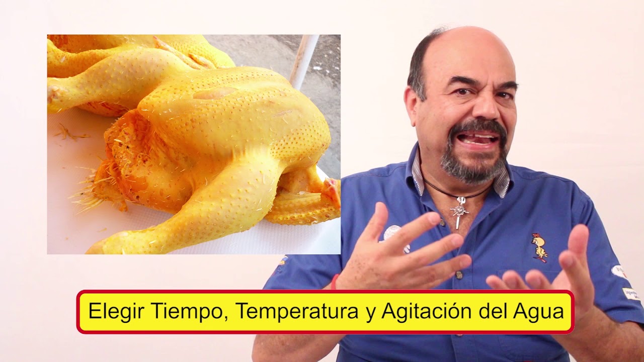 Rastros para Aves. Diferenciación de CUATRO Tipos de Rastros para Pollos. Industrias MAC.