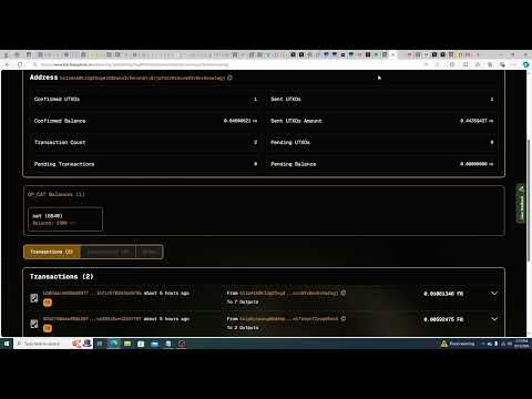 Where To Check Your CAT20 $CAT Balance On Fractal Bitcoin - Not Unisat