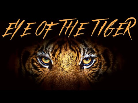 Be A Ruthless Man | Masculinity (The Relentless & Selfish Path to Success)