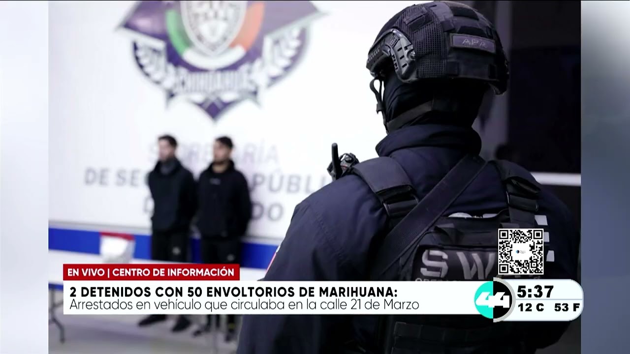 2 arrested with 50 packets of marijuana