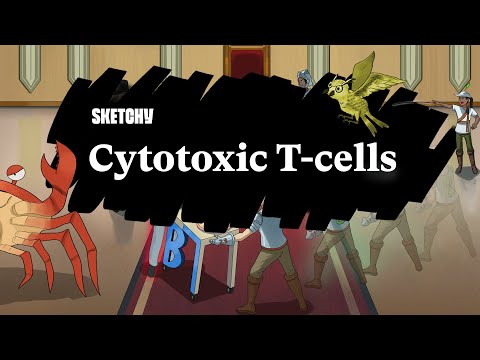 Cytotoxic T-Cells: Key Defenders in The Immune System (Part 1) | Sketchy Medical | USMLE Step 1