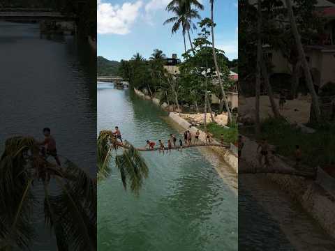 Epic Jump into the Loboc River in Bohol Philippines 🇵🇭 #bohol