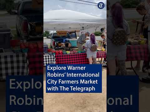 Explore vendors at the International City Farmers Market in Warner Robins, GA