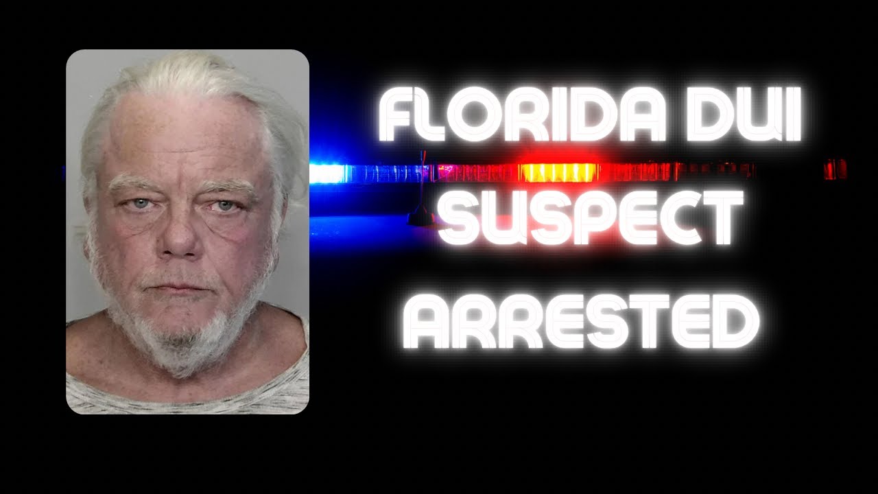 Florida DUI suspect threatening deputies, K9 during traffic stop