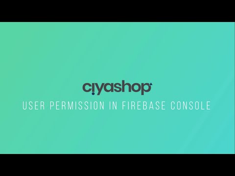 User Permission for Firebase Console