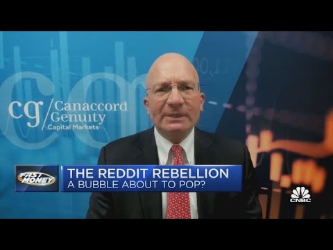 Reddit rebellion is sparking instability that will subside: Market bull Tony Dwyer