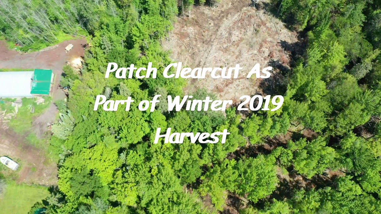 Green Timber Consulting Foresters, Inc. Office Property