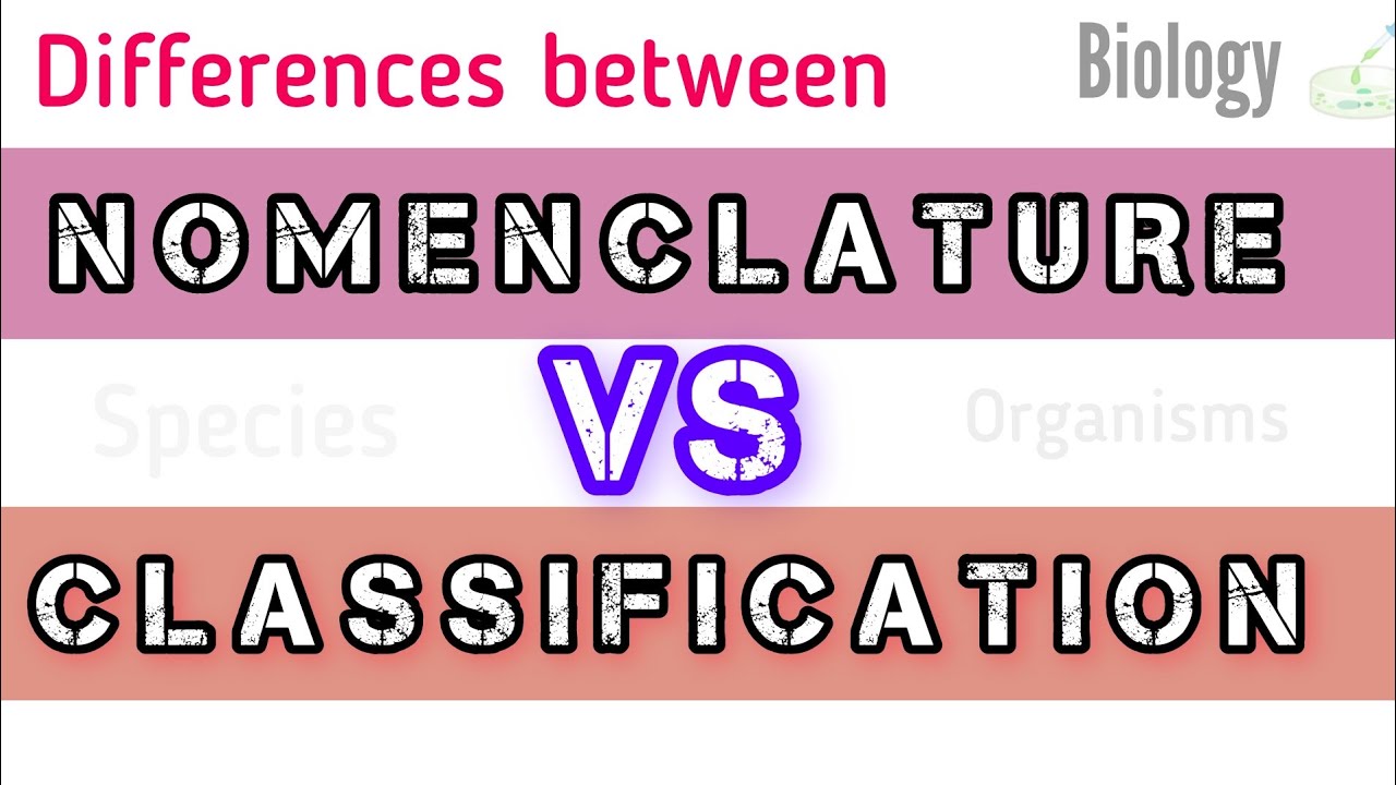 Nomenclature vs Classification Differences
