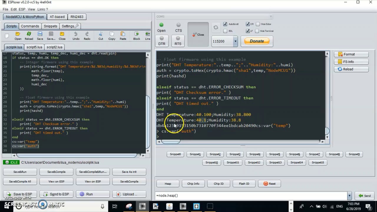NodeMCU 12/E ESP8266 CoAP Implementation (RFC 7252) Using Lua