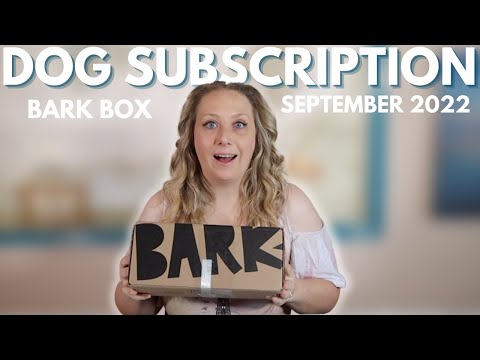 BARKBOX Dog Subscription | September 2022 box | Special Harry Potter dog toys this month!