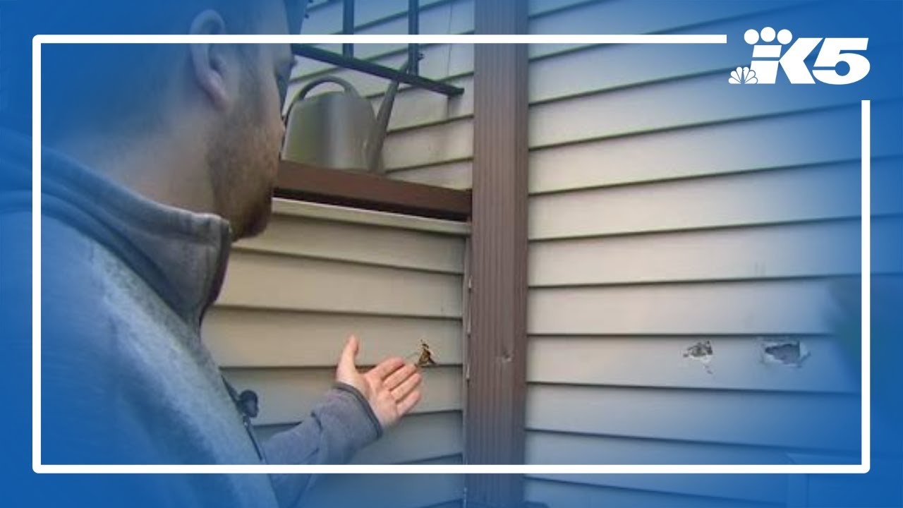 'Collateral damage': neighbors in north Seattle use home recording to track rising gunfire