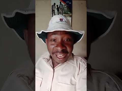 Alex katombi latest song(ATAIWE) Banned from YouTube #katombi #kambamusic #trendingshorts #maima